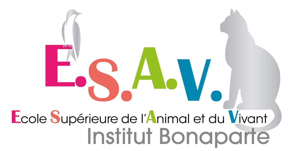 ESAV - Institut Bonaparte Strasbourg - Centre de formation