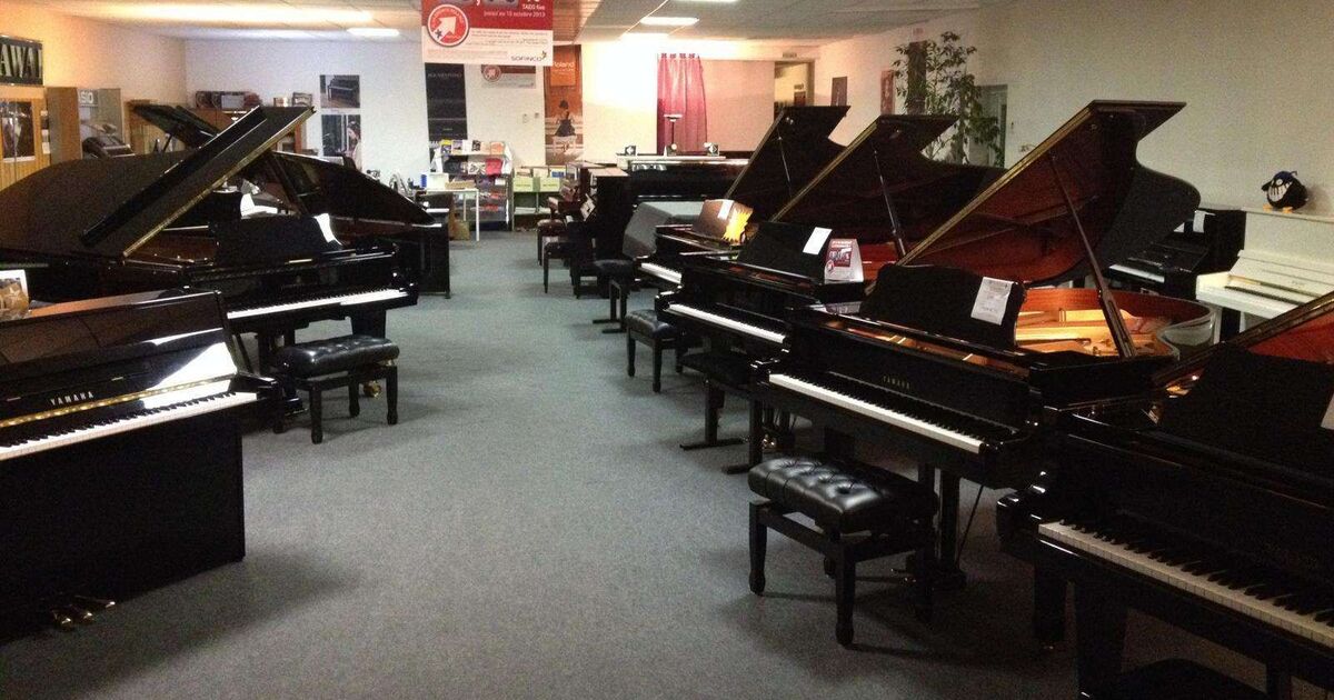 Pianos Schaeffer Metz Augny - Instruments de musique