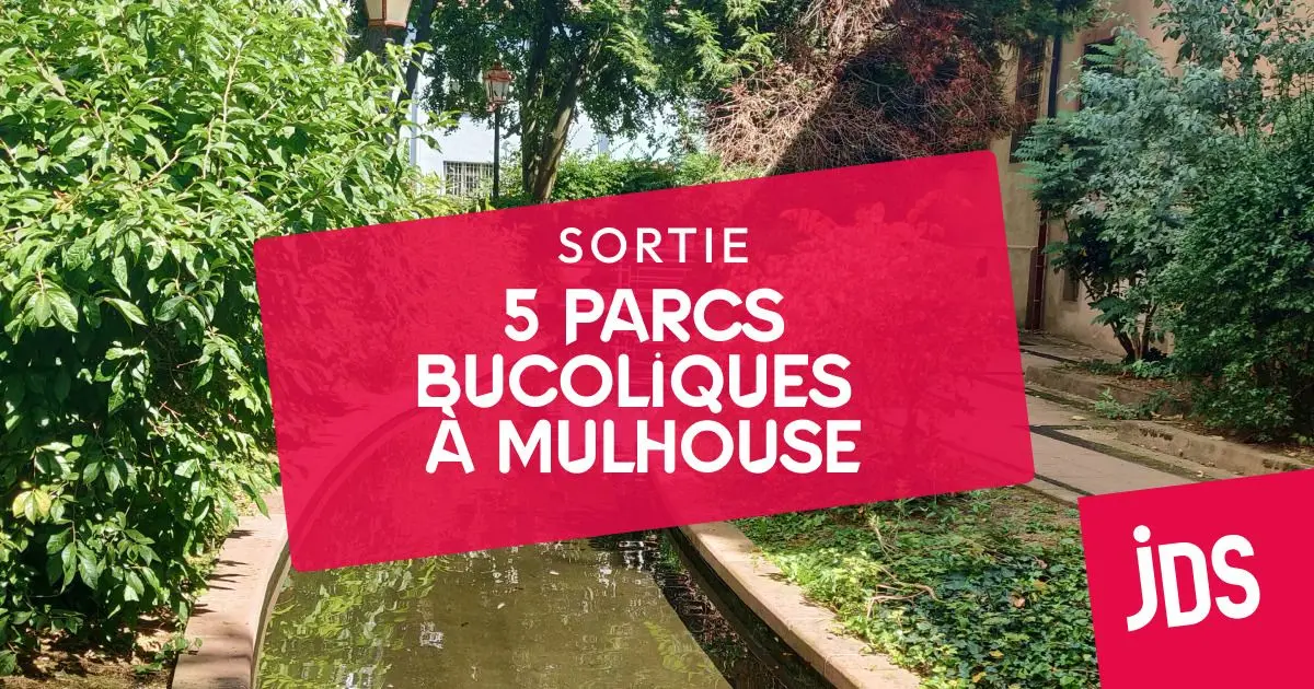 5 parcs bucoliques à redécouvrir à Mulhouse