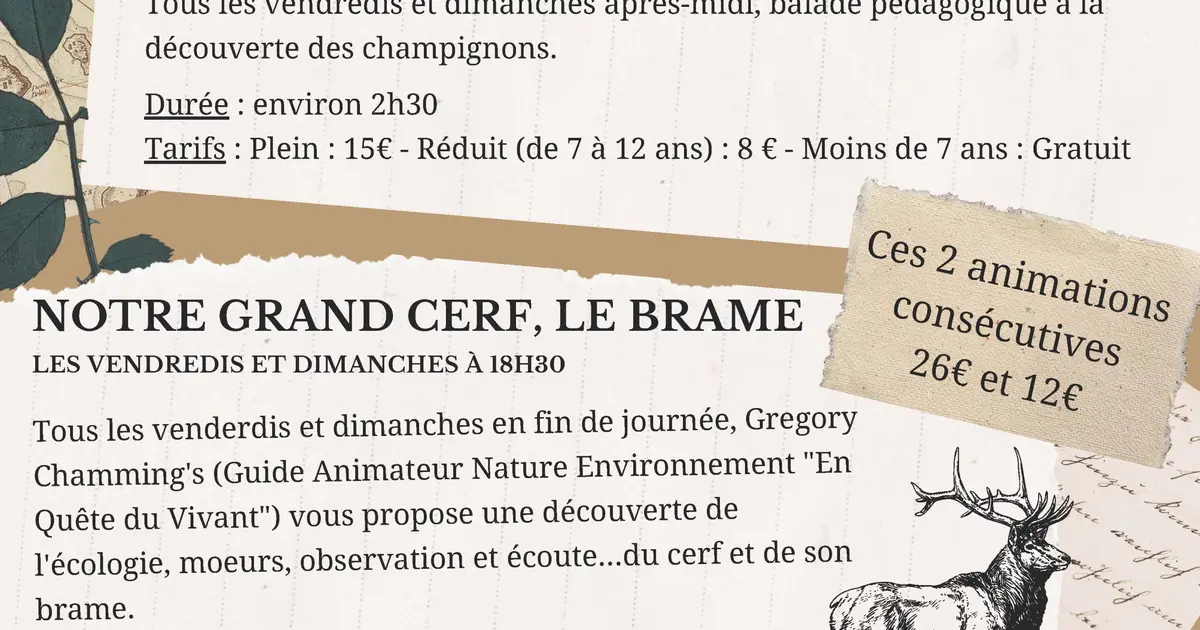 Animation Nature : Brame Du Cerf Mont Lozère et Goulet : dates ...