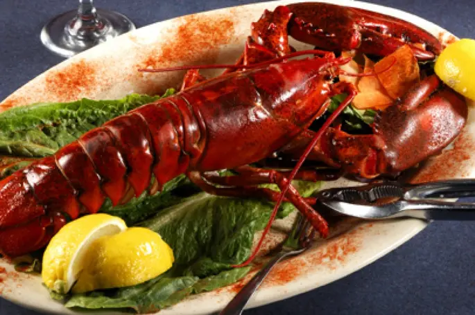 Tout savoir sur le homard : prix, préparation, cuisson...