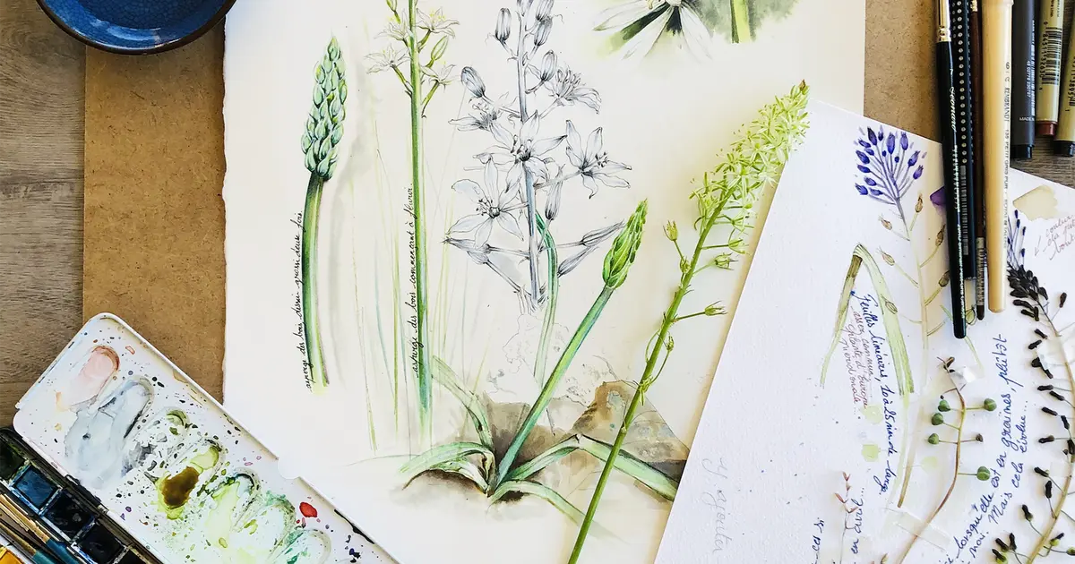 Aquarelles botaniques et illustrations nature - Matour : date, horaires ...