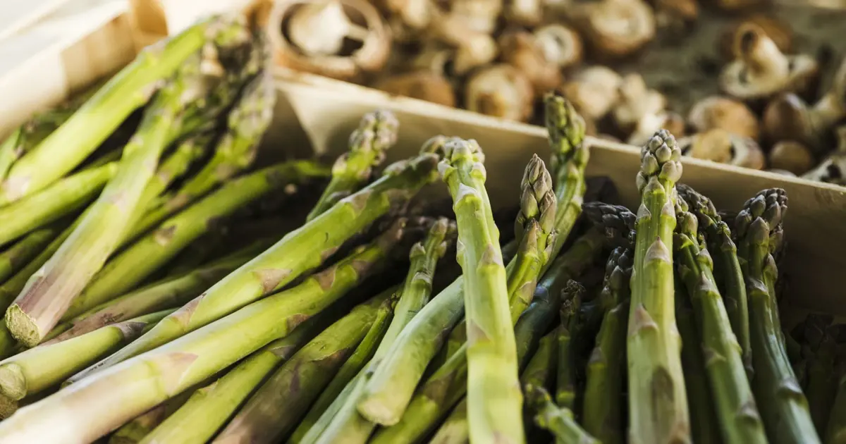 Asperges de France : la saison 2026 bat son plein sur les étals
