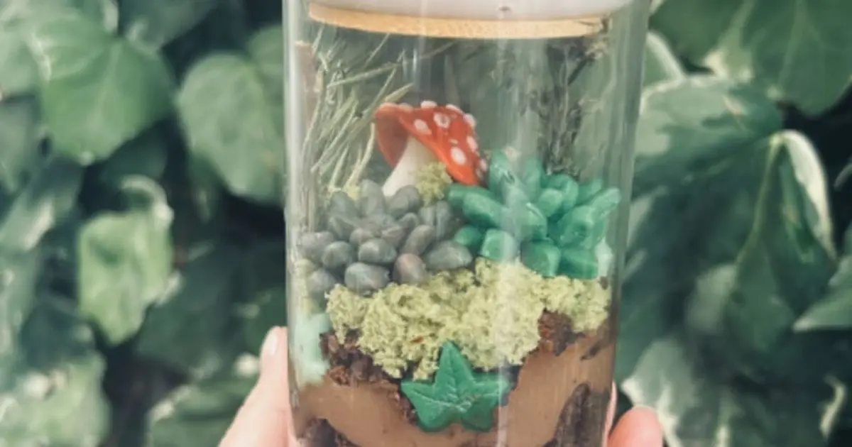 Atelier terrarium comestible à Paris 11ème - : date, horaires, tarifs