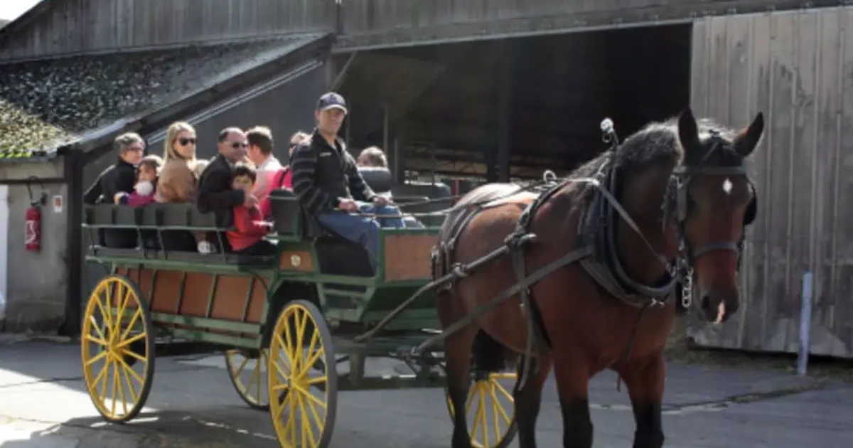 Balade en calèche à la Bergerie Nationale de Rambouillet : dates ...