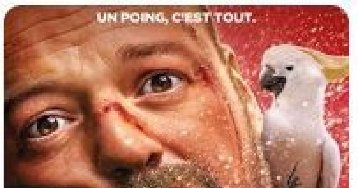 Cinéma Laruns : Challenger 2024 : date, horaires, programme, tarifs Cinéma Laruns : Challenger 2024 : date, horaires, programme, tarifs