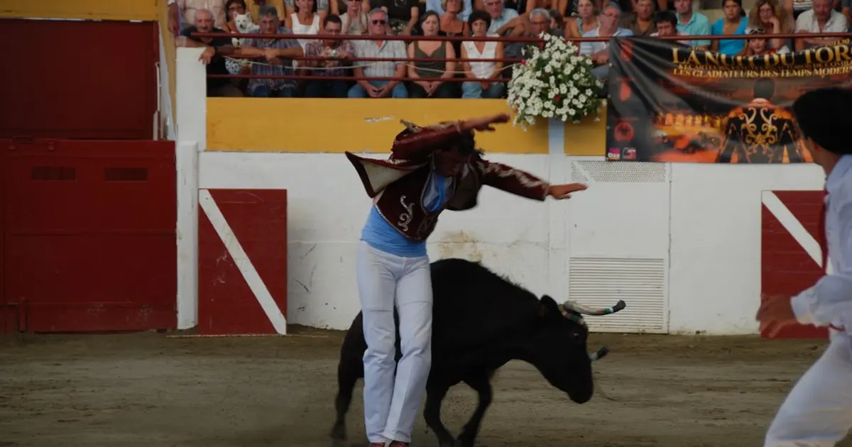 Course landaise Amou : date, horaires, tarifs