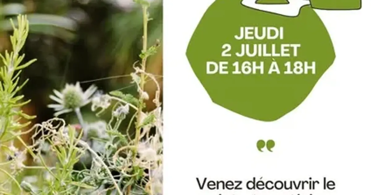 Création d'une forêt comestible à Mergieux Najac 2026 : date, horaires ...