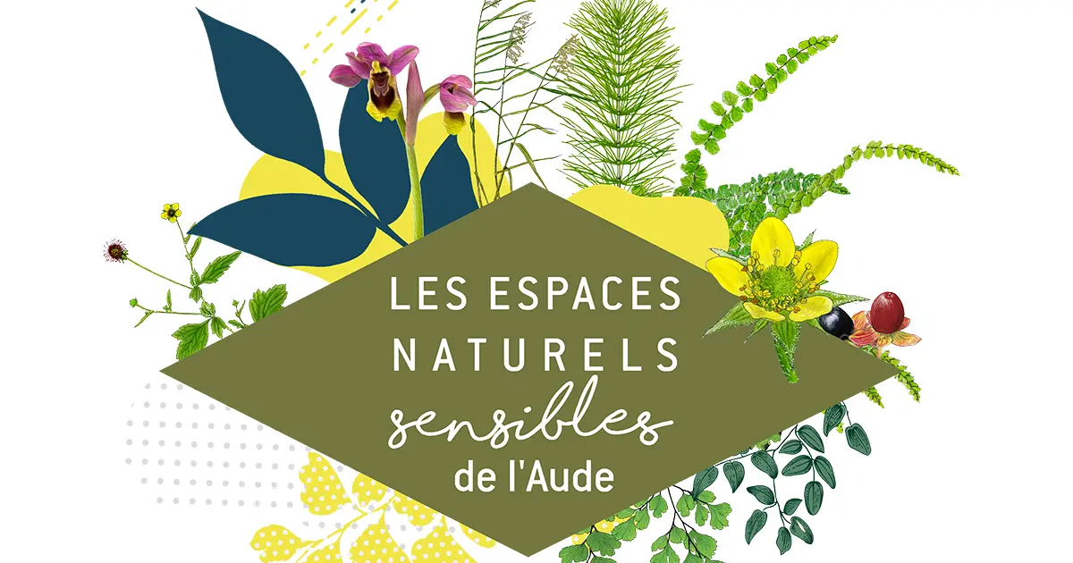 Ens - Eh ! La Mer Monte ! Port-la-Nouvelle : dates, horaires, parcours