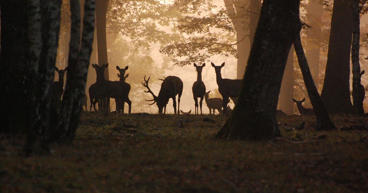 Espace Rambouillet : prix, tarifs et horaires d'ouverture du parc ...