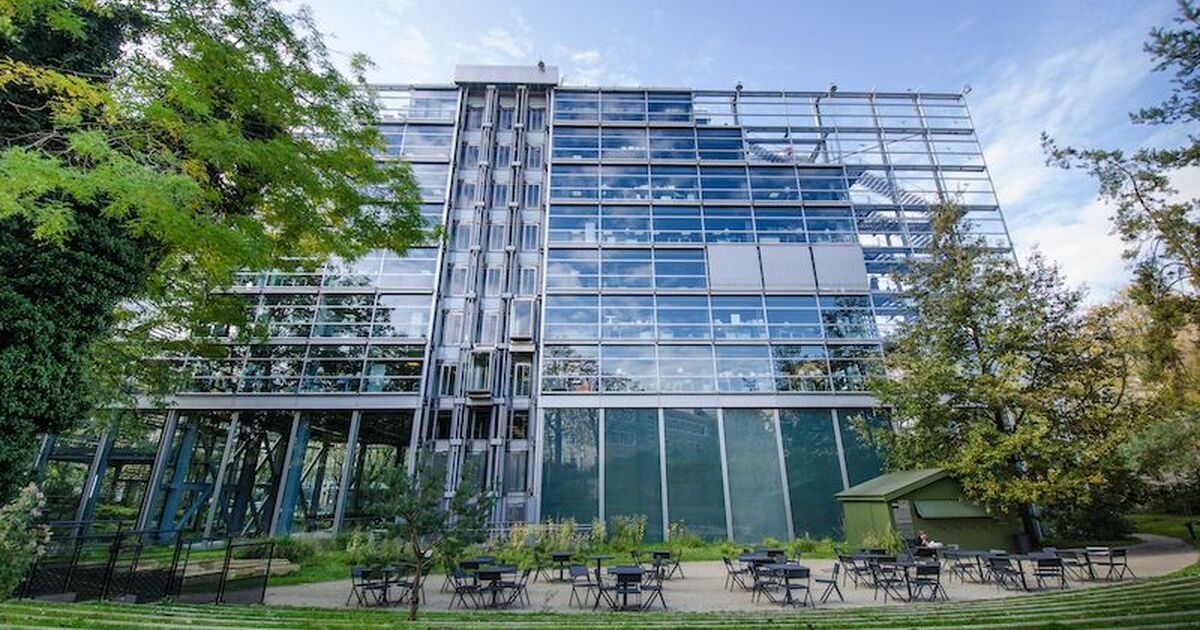 Fondation Cartier Paris - Musée