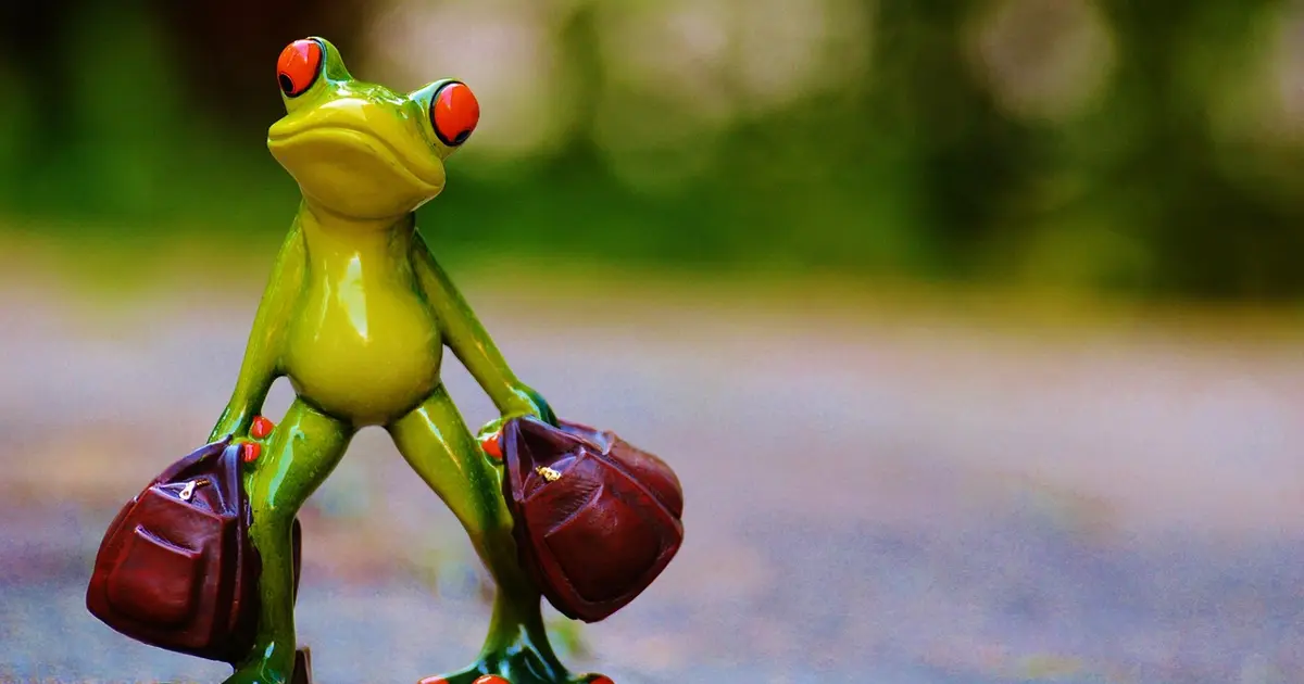 Forum "Partir à l'étranger" 2026 Limoges : date, horaires, exposants