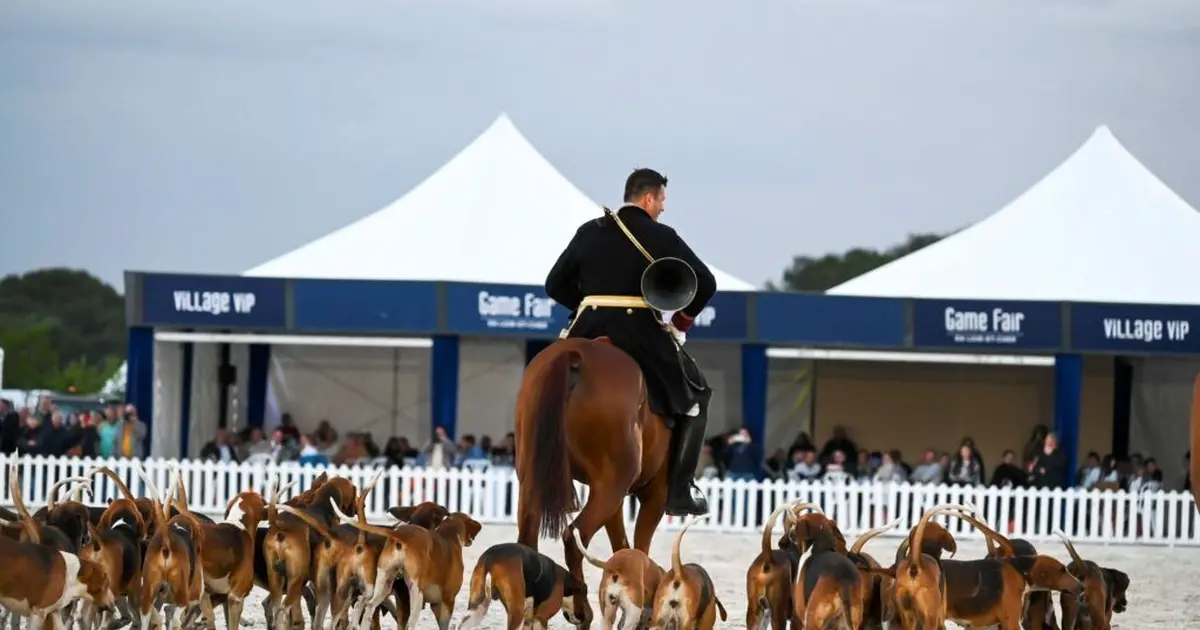 Game Fair 2026 : le plus grand salon chasse et nature