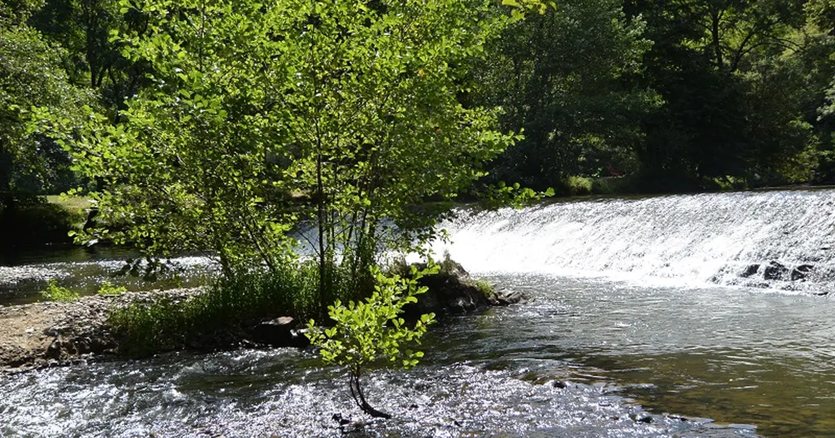 Journée champêtre au Pervendoux Génis : dates, horaires, parcours