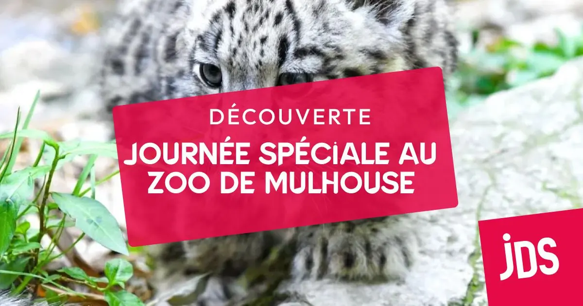 Avis, notes, commentaires - Journée découverte au Zoo de Mulhouse en ...