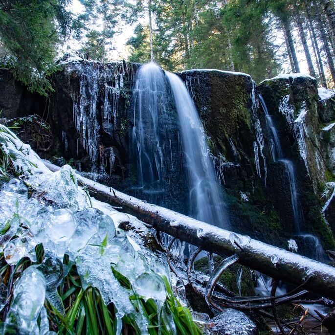 5 cascades à voir dans le massif vosgien