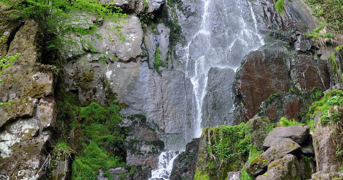 5 cascades à découvrir en Alsace