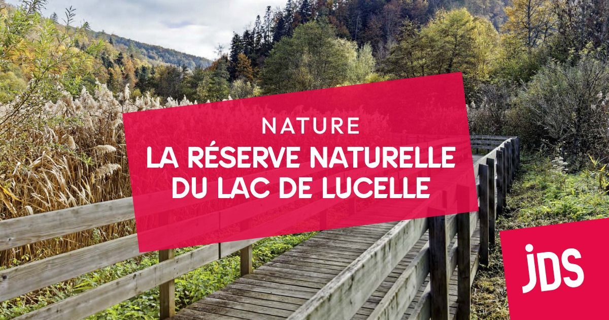 La Réserve Naturelle du Lac de Lucelle