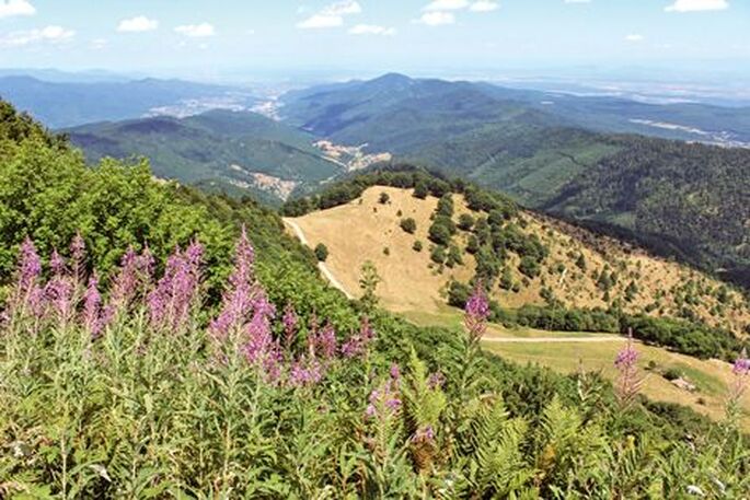 Escapade au Petit Ballon dans les Vosges
