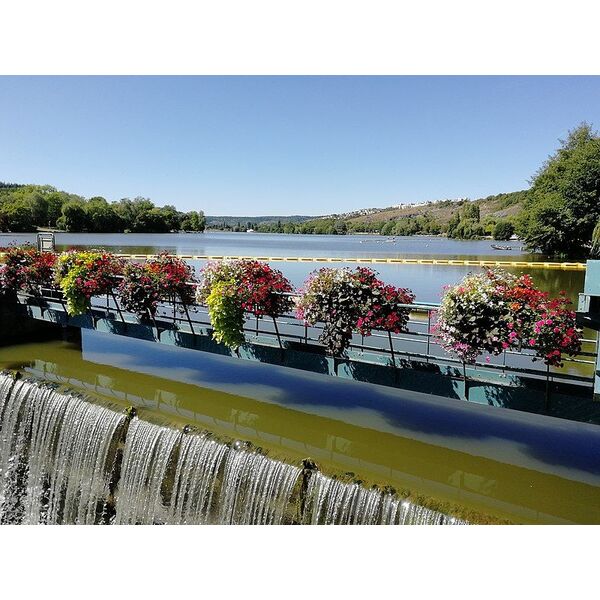 Lac Kir - Dijon Plage : baignade, animations, activités nautiques et ...