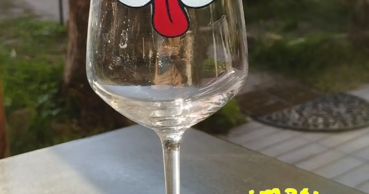 Le chien partagé Loudun 2026 : date, horaires, programme, tarifs