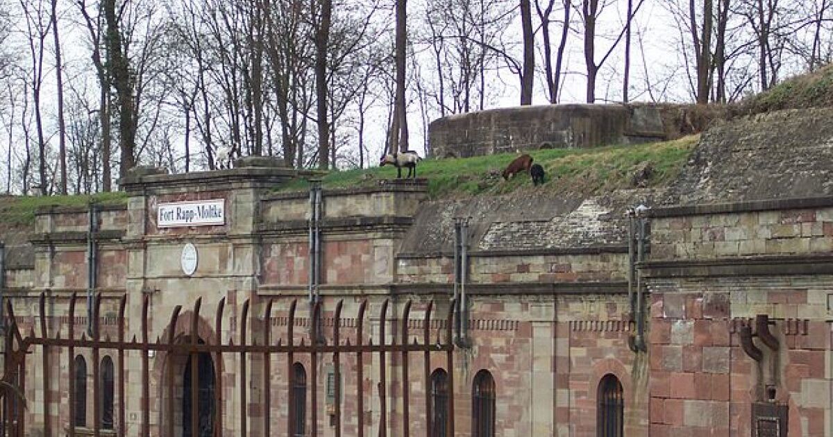 Fort Rapp Reichstett - Patrimoine historique