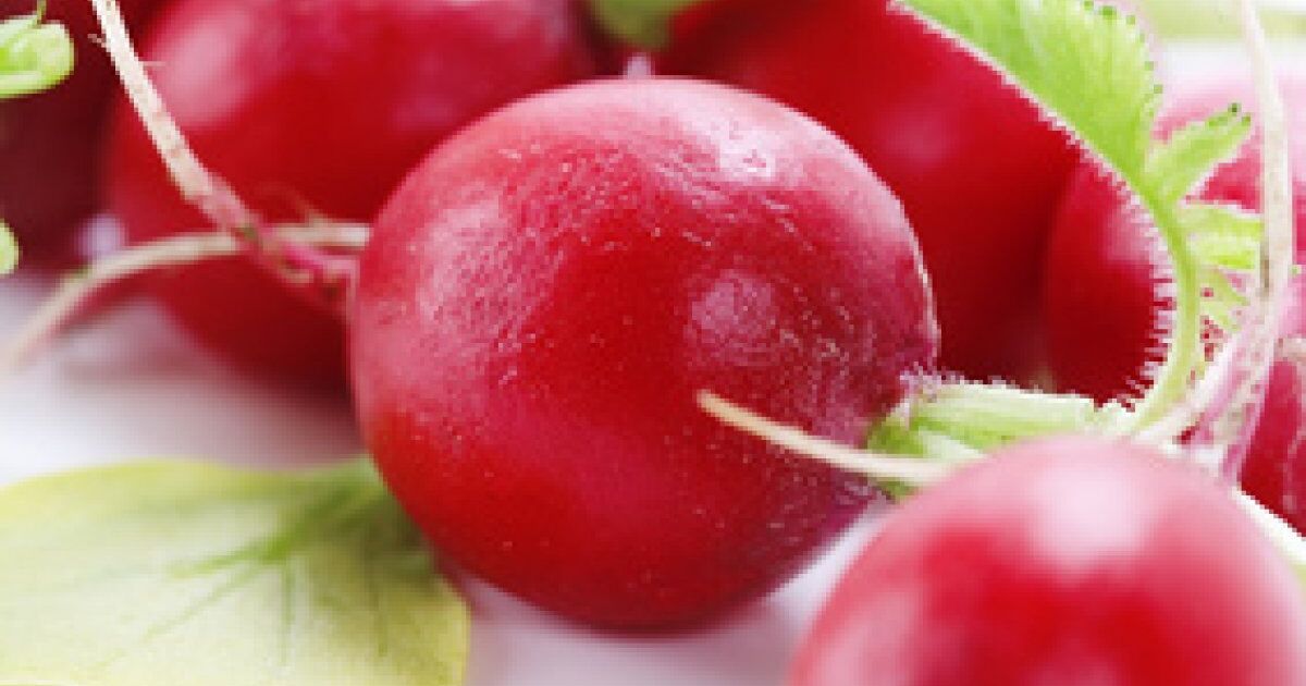 Le radis rouge : comment lui donner la forme d'une fleur