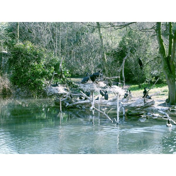 Zoo de Bâle : ouverture, horaires, tarifs, animaux, aquarium, visite