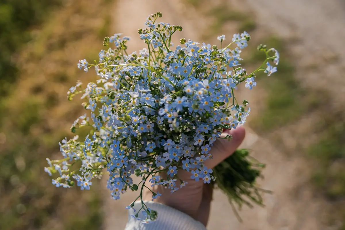 Les Ateliers de la mine : Atelier Art floral - - Lavaveix-les-Mines ...