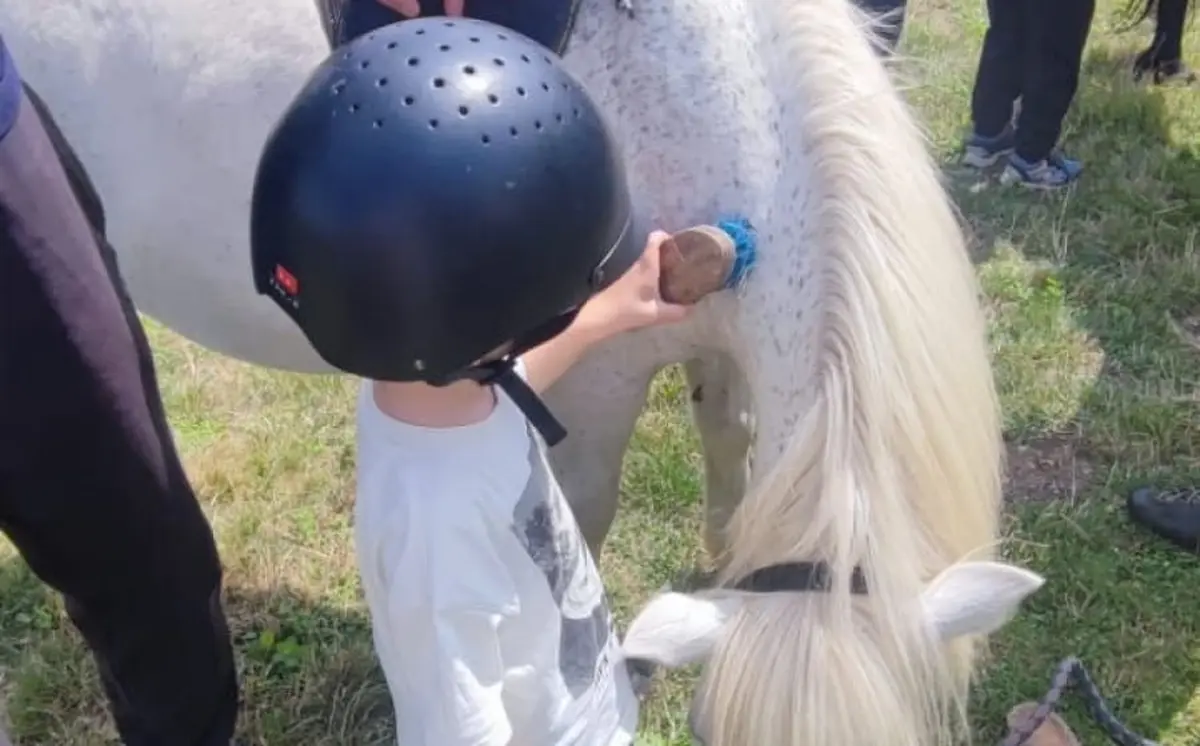 Les balades à cheval Écluzelles 2026 : date, horaires, programme, tarifs