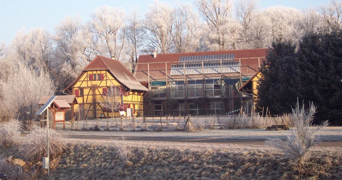 Maison de la Nature du Sundgau, Altenach, Alsace : nature, découvert et ...