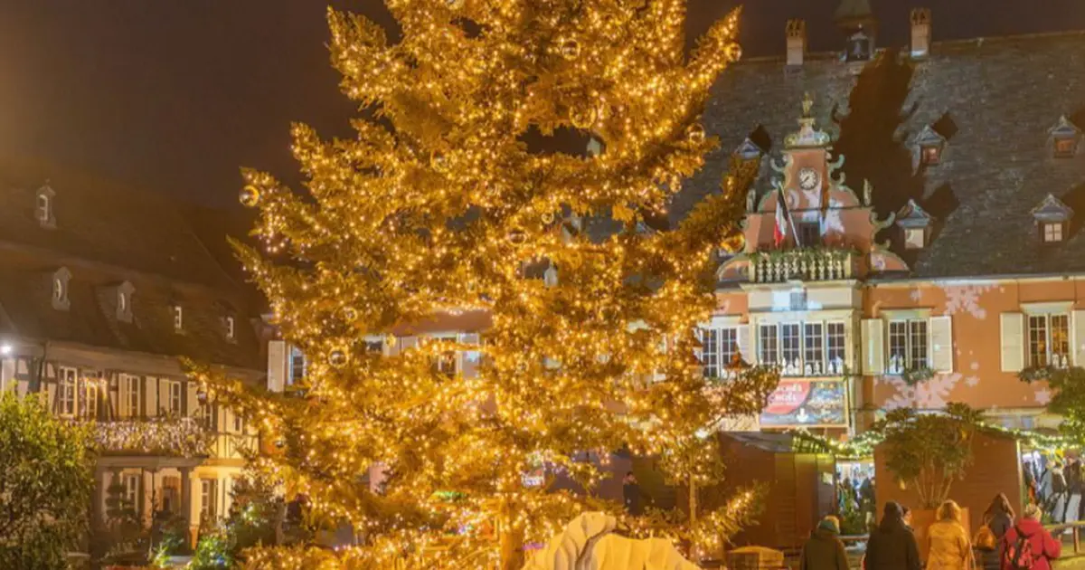 Marché de Noël à Barr 2026 : un Noël authentique