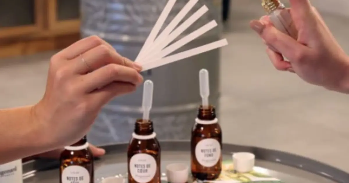 Mini atelier de création de parfum en anglais à Grasse (06) - La ...