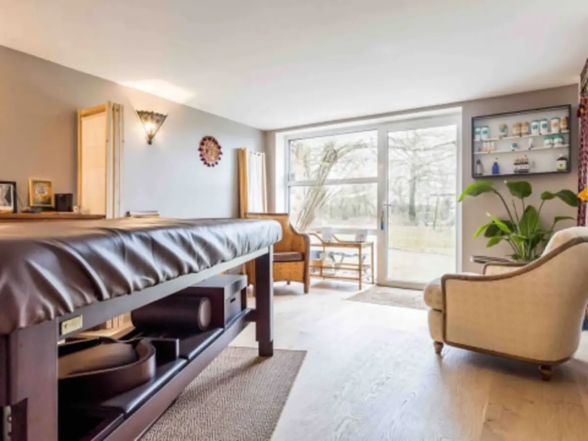 Mini-cure ayurvédique détox de la peau à Blain (44), Bien-être : date ...