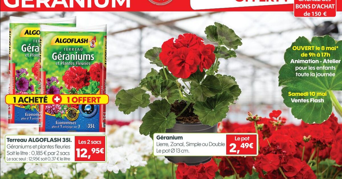 Festival de Géranium du 7 au 10 mai 2025 | jardineries Altkirch, Cernay ...