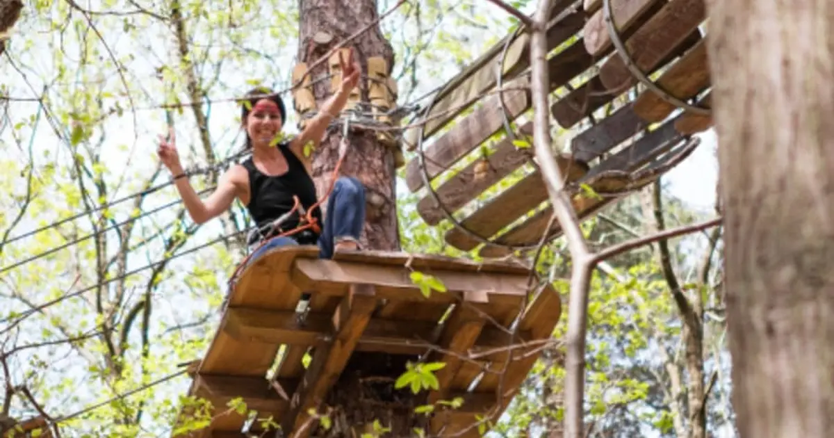 Parc Accrobranche à Bruyères-le-Châtel (91), Aventure : date, horaires ...