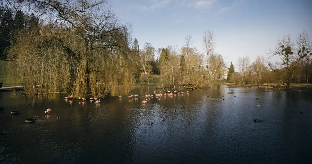 Parc de Clères - Zoo et parc animalier
