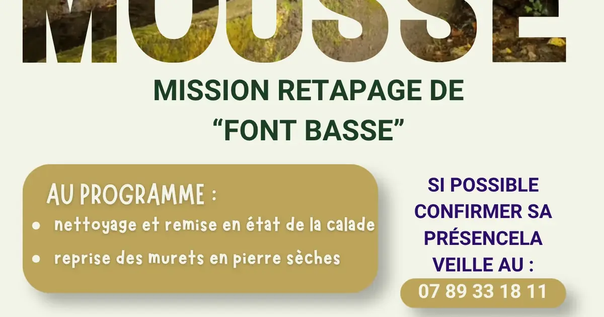Pierres et mousse : retaper la fontaine Font basse Saint-Paul 2026 ...
