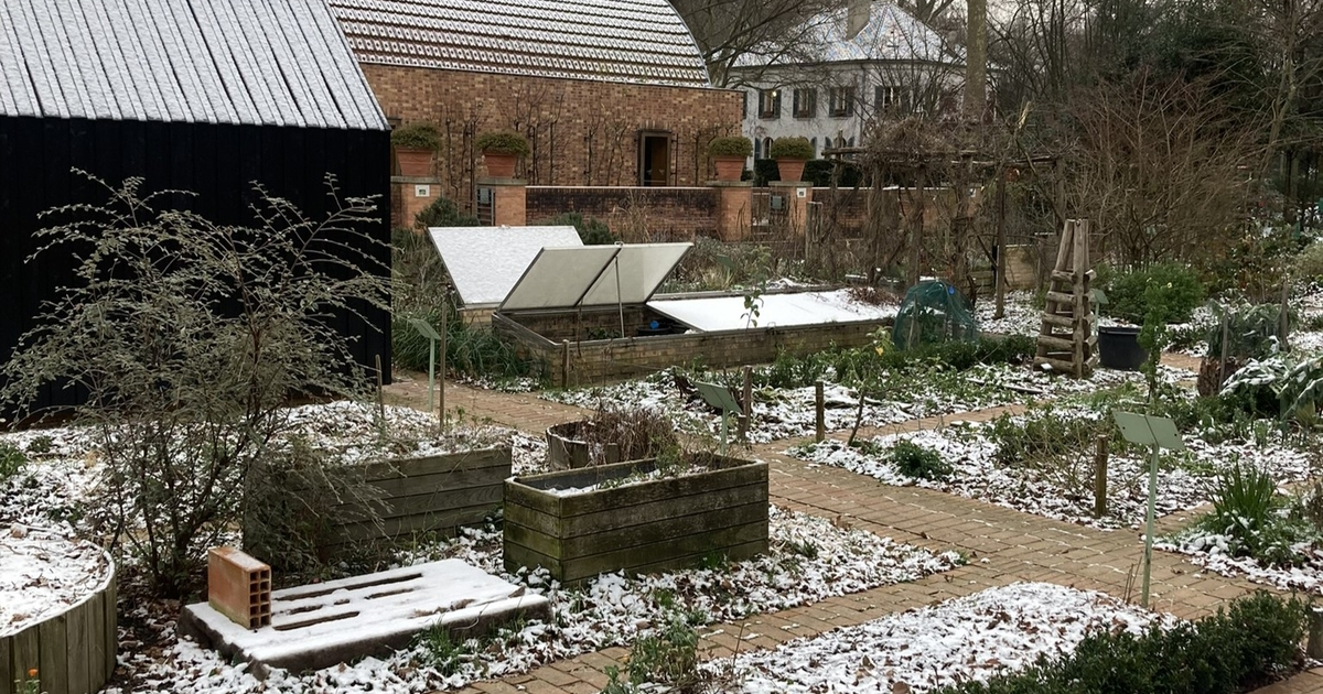 Planification : faire le plan et le planning de son potager, Nature ...