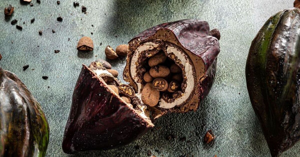 Salon du Chocolat à Lyon 2026 : programme, tarif, billet et invitation