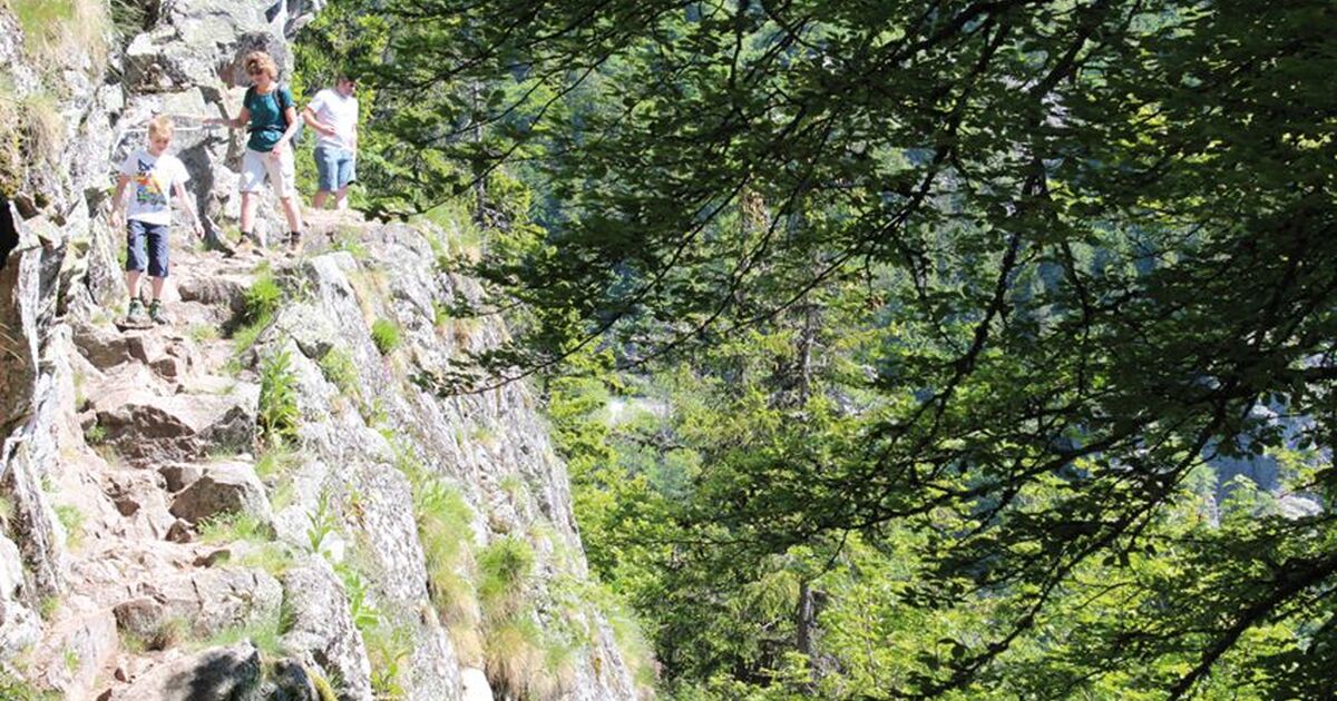 Le sentier des Roches - rando dans les Vosges : parcours, difficulté ...