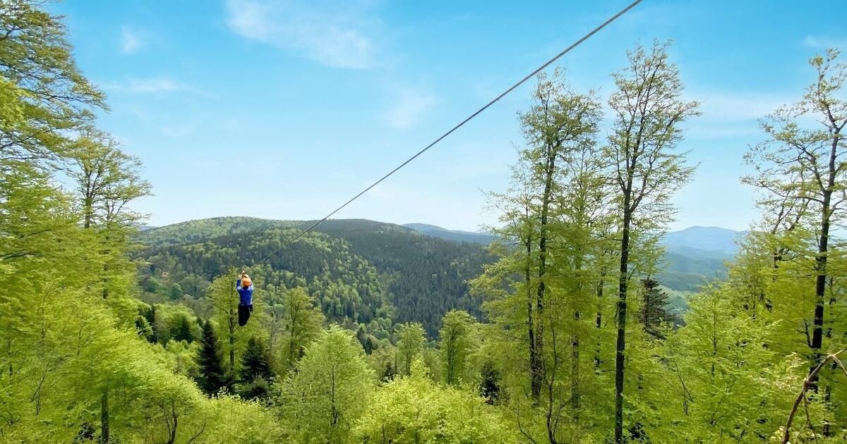 Une expérience unique au Parc Alsace Aventure : le Verti'Câble