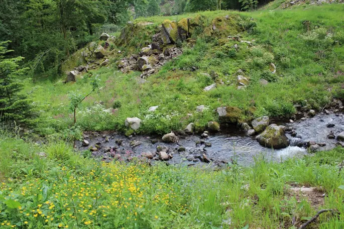 Escapade dans les Vosges : sur le sentier de la Wormsa