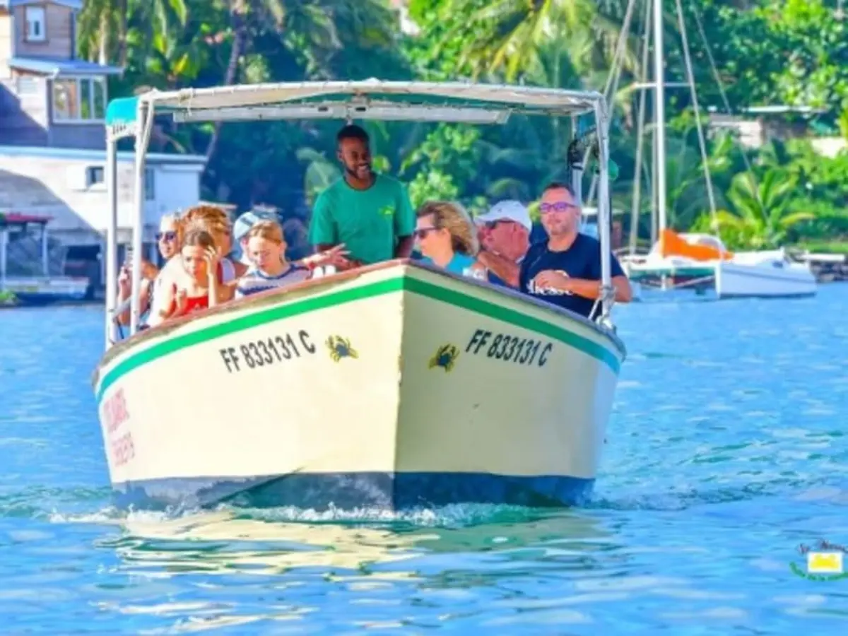 Visite guidée de la Mangrove depuis Les Trois-Ilets, Visites guidées ...