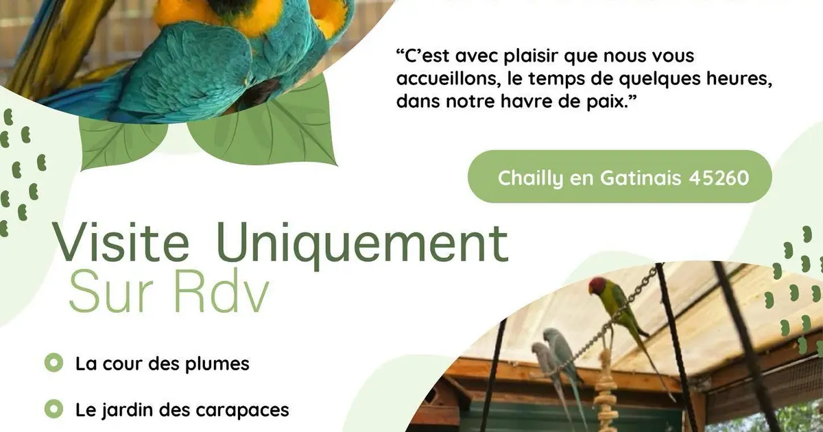 Visite pédagogique des Becs Crochus, Visites Chailly-en-Gâtinais : date ...