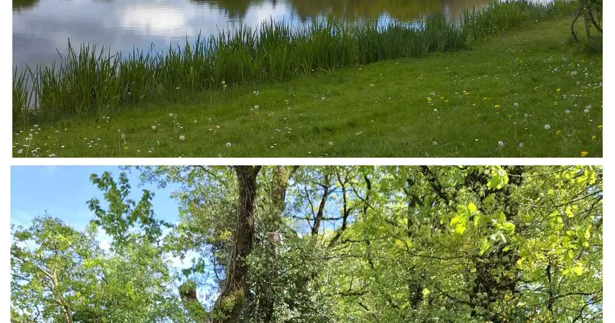 Visites estivales 2026 - Au fil de l'eau - Clessé, : date, horaires, tarifs