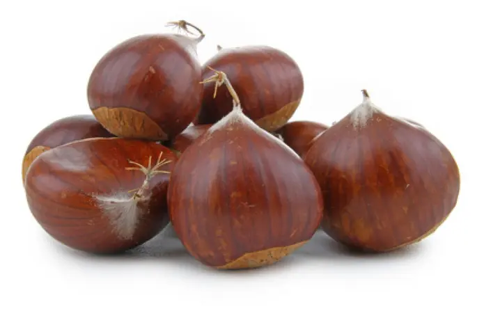 Tout savoir sur la châtaigne : comment les éplucher, les préparer, les ...