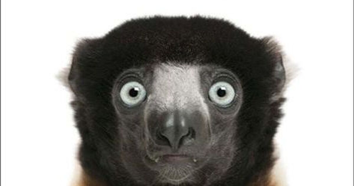 Zoo'm sur les animaux du Zoo de Mulhouse